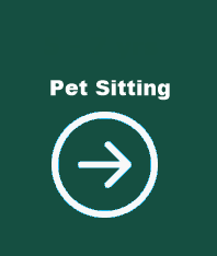 Pet Care, Advice and Training