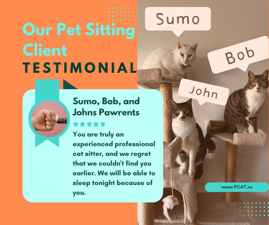Pet Care, Advice and Training